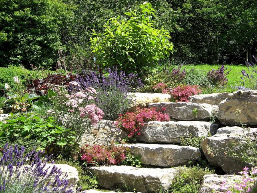 Steingarten und Alpengarten – mehr als Steine und Blüten